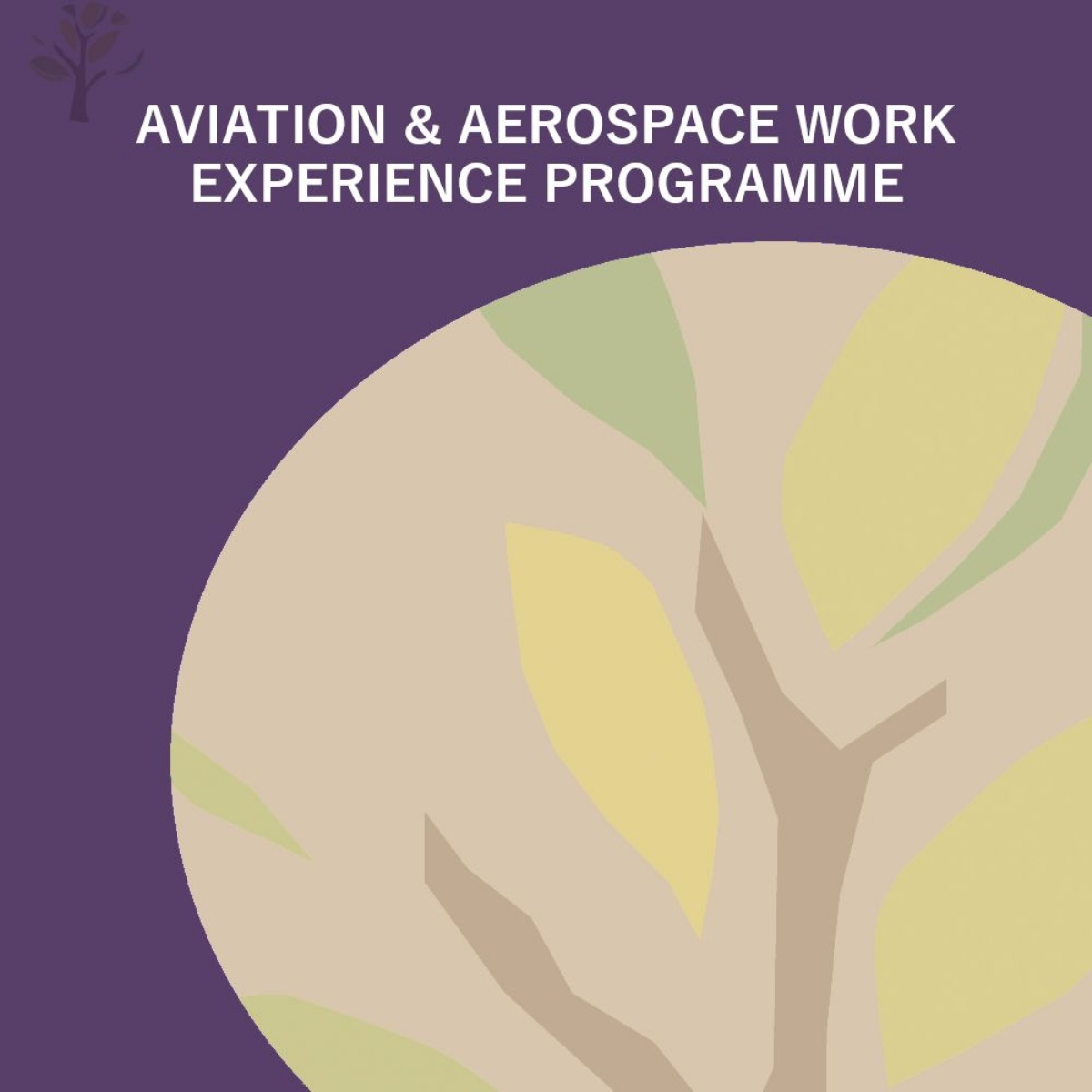 Limehurst Academy - Aviation & Aerospace Work Experience programme
